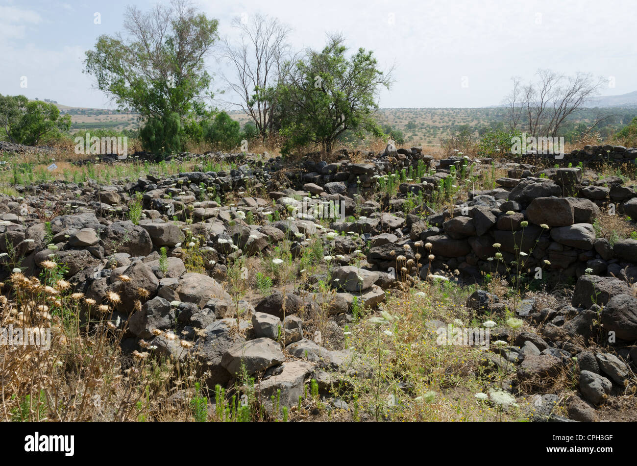 Archeological site of the biblical city of Bethsaida. Sea of Galilee ...
