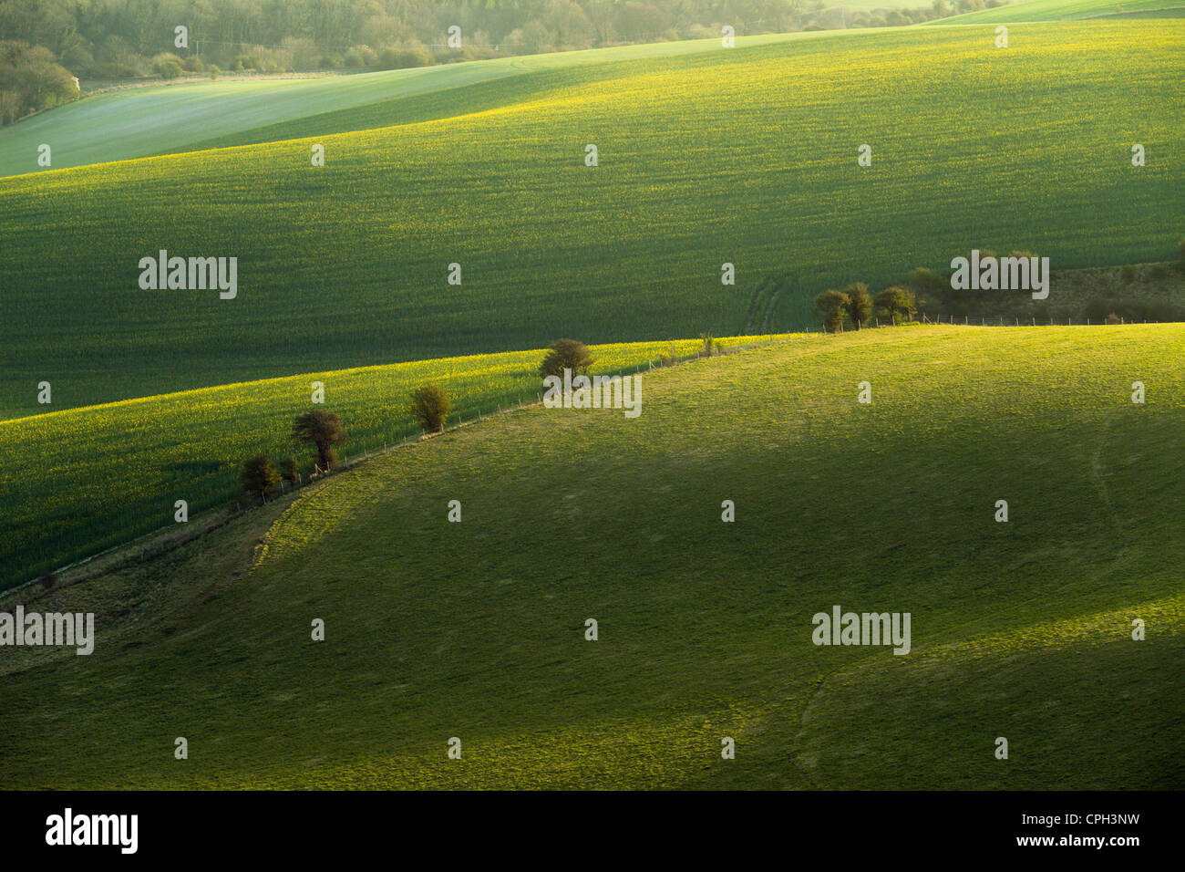 Spring morning in South Downs National Park, East Sussex, England Stock ...