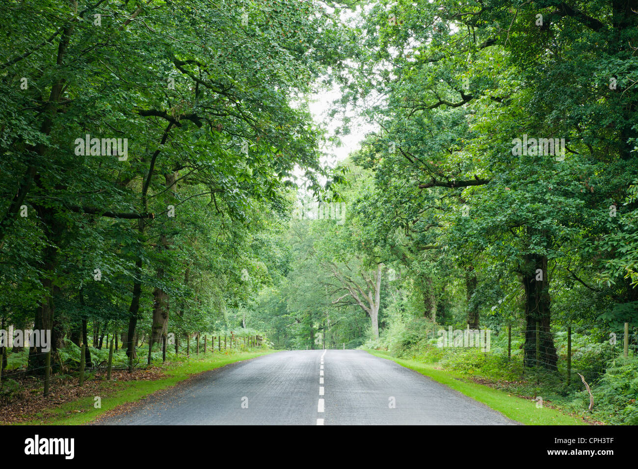 UK, United Kingdom, Europe, Great Britain, Britain, England, Hampshire ...