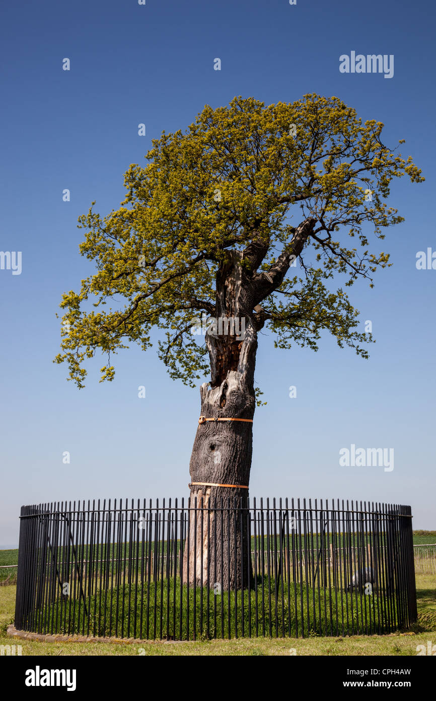 Royal oak boscobel house shropshire hi-res stock photography and images ...