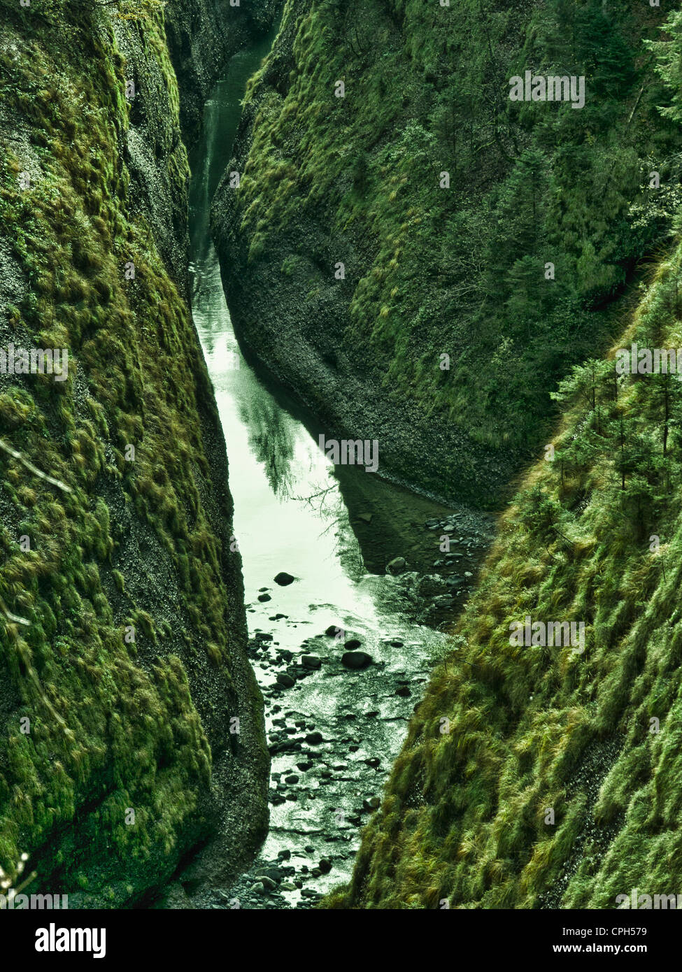 creek, brook, rivulet, beck, abyss, precipice, kloof, ravine, gorge ...