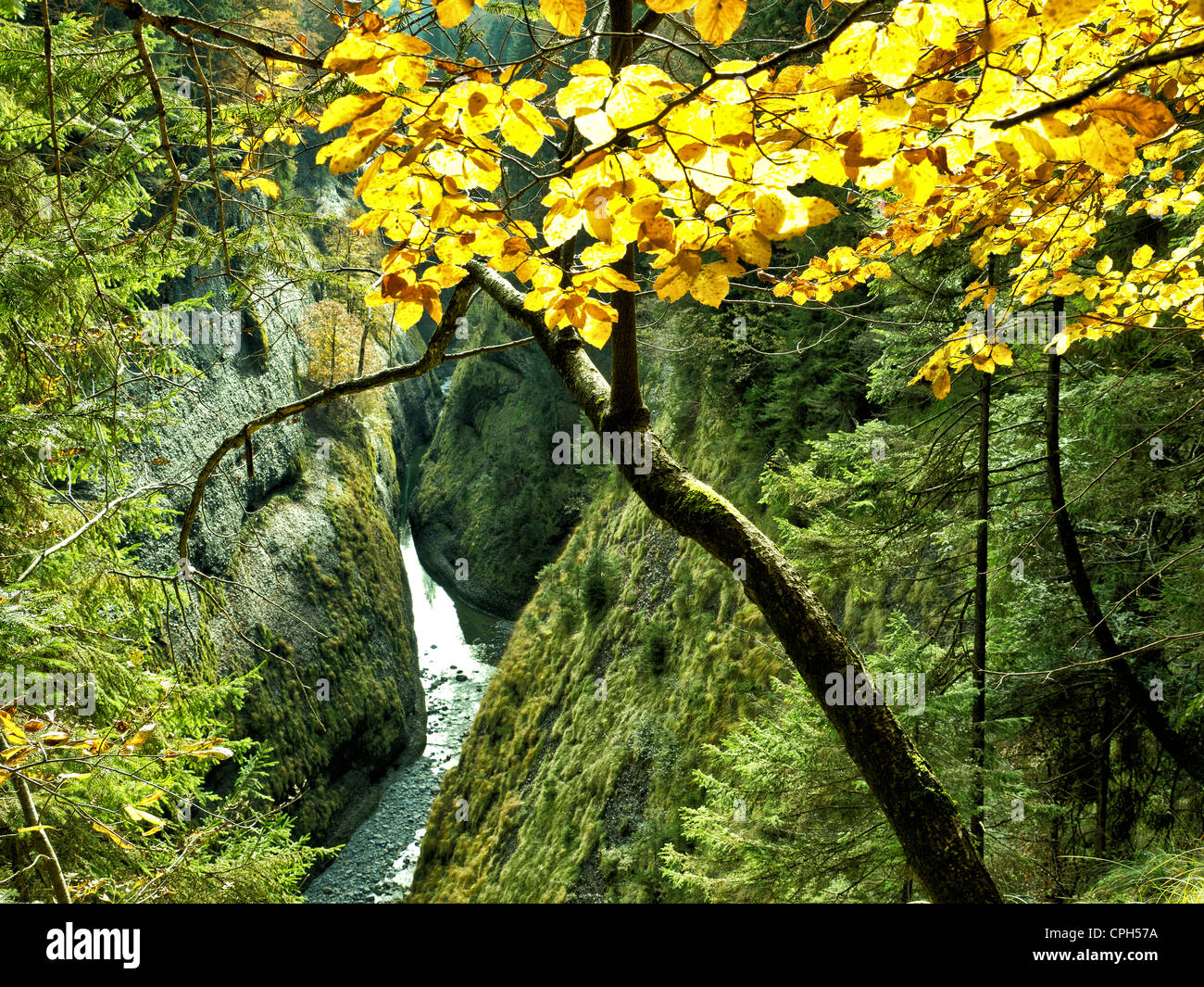 creek, brook, rivulet, beck, abyss, precipice, kloof, ravine, gorge ...