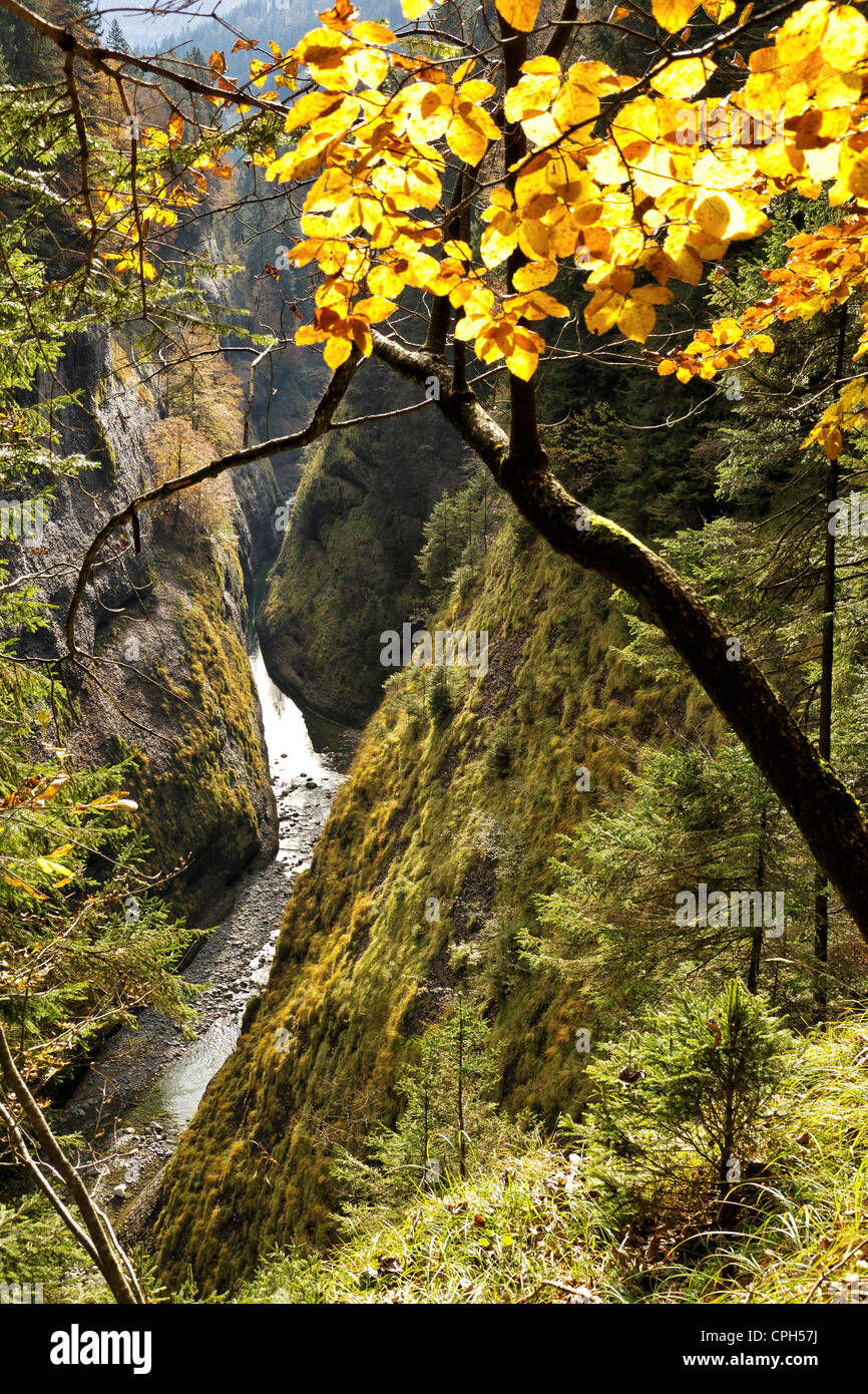 creek, brook, rivulet, beck, abyss, precipice, kloof, ravine, gorge ...