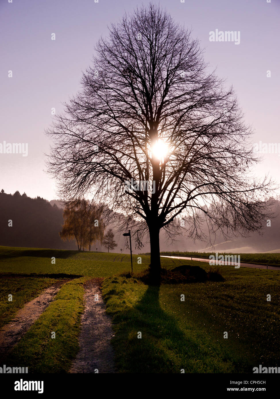 Cartway hi-res stock photography and images - Alamy