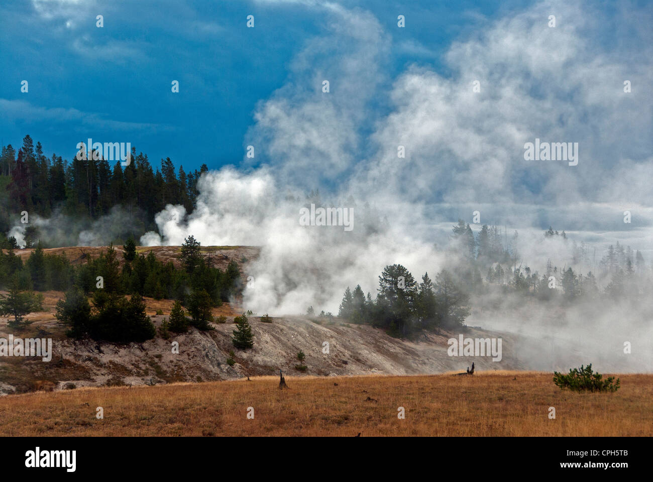 Yellowstone, national park, Wyoming, upper geyser basin, geyser, hot ...