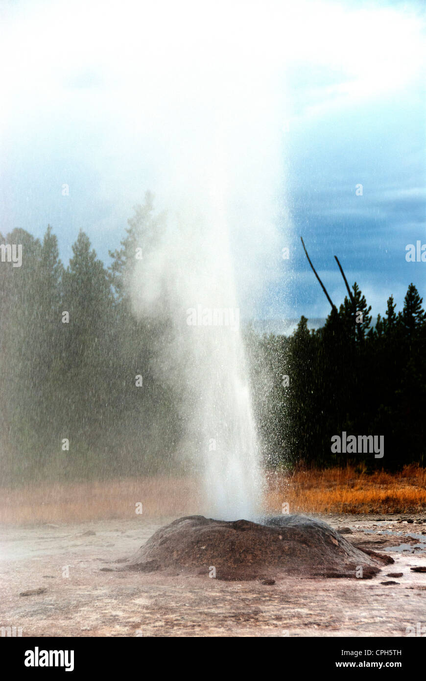Yellowstone, national park, Wyoming, upper geyser basin, geyser, hot ...