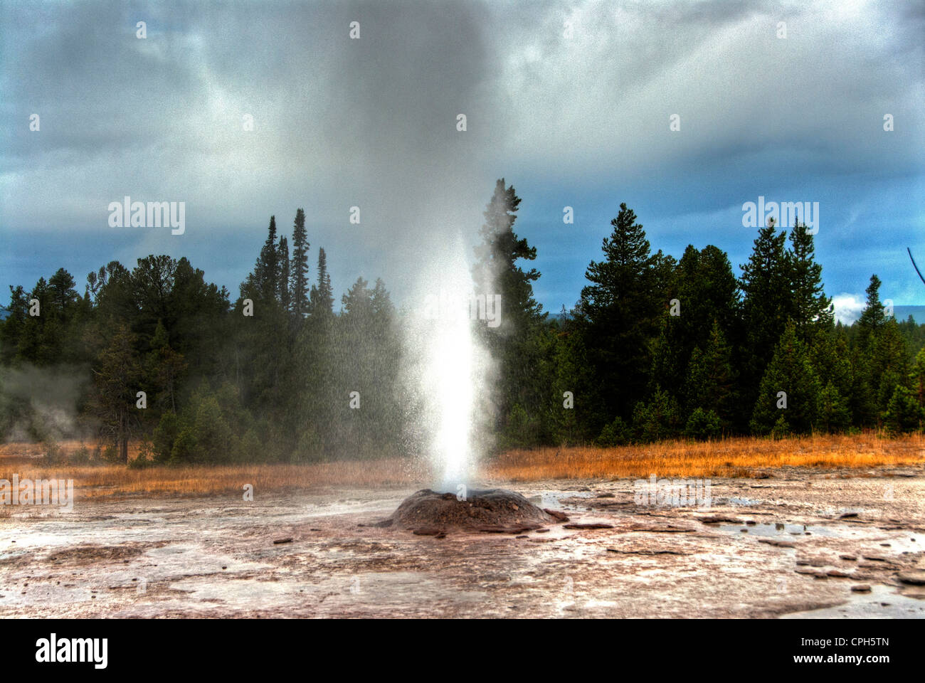 Yellowstone, national park, Wyoming, upper geyser basin, geyser, hot ...