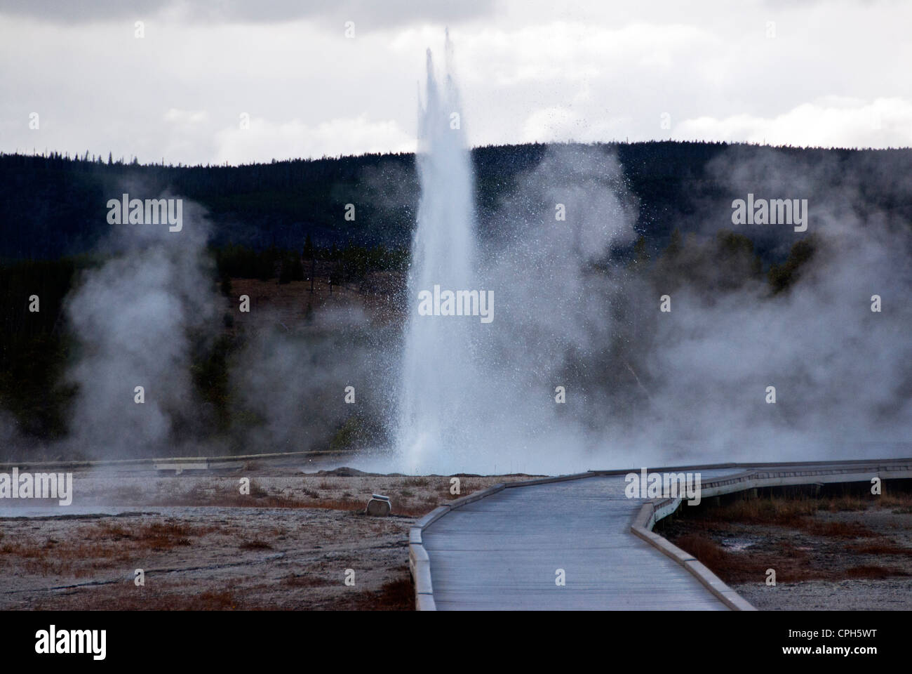 Yellowstone, national park, Wyoming, upper geyser basin, geyser, hot ...