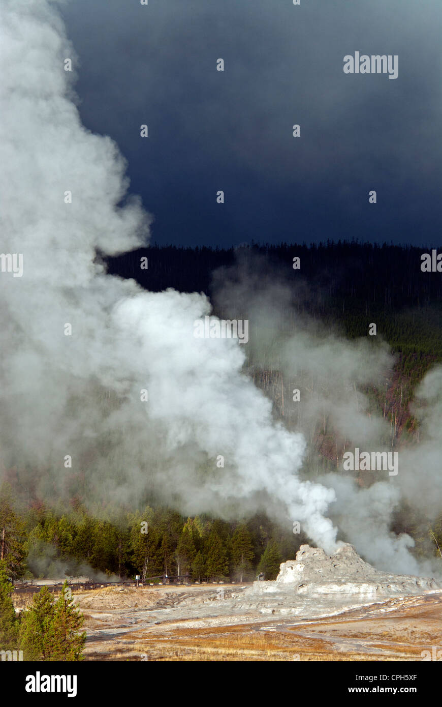 Yellowstone, national park, Wyoming, upper geyser basin, castle geyser ...