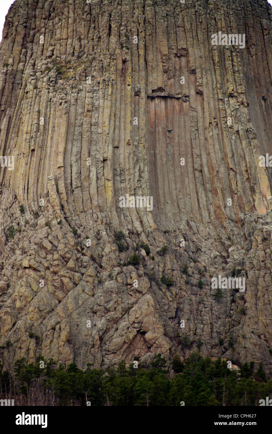 devil's tower, rock, USA, United States, America, national monument ...