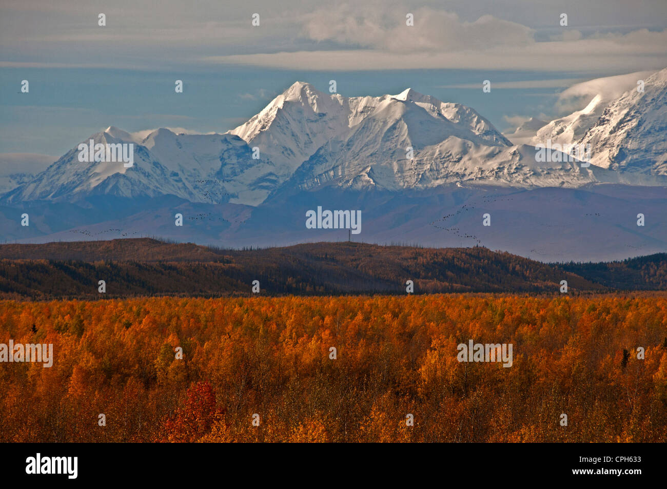 mt. Deborah, Alaska range, fall, colours, Alaska, USA, United States ...