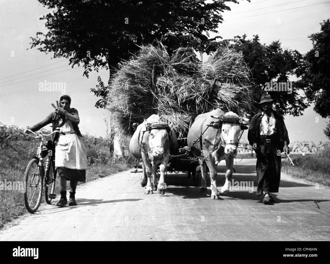 agriculture, hay, harvest, farmers with hay cart on the road, Germany, 1950s, Additional-Rights ...