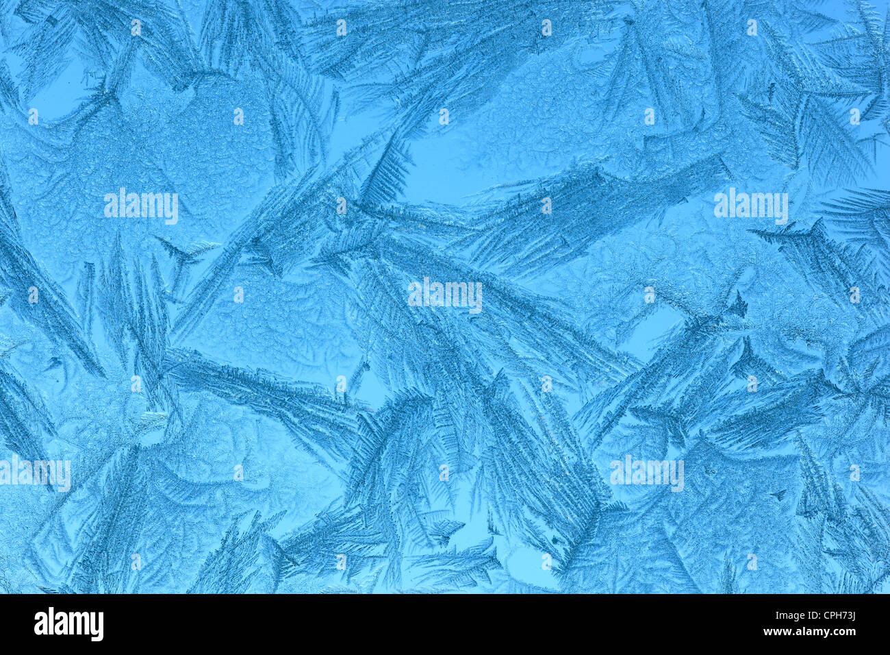 Detail, ice, frostwork, windows, window pane, glass, windowpane, cold ...