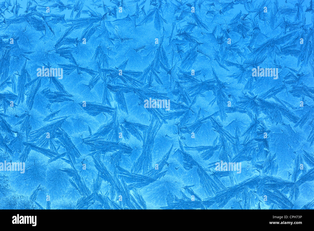 Detail, ice, frostwork, windows, window pane, glass, windowpane, cold ...