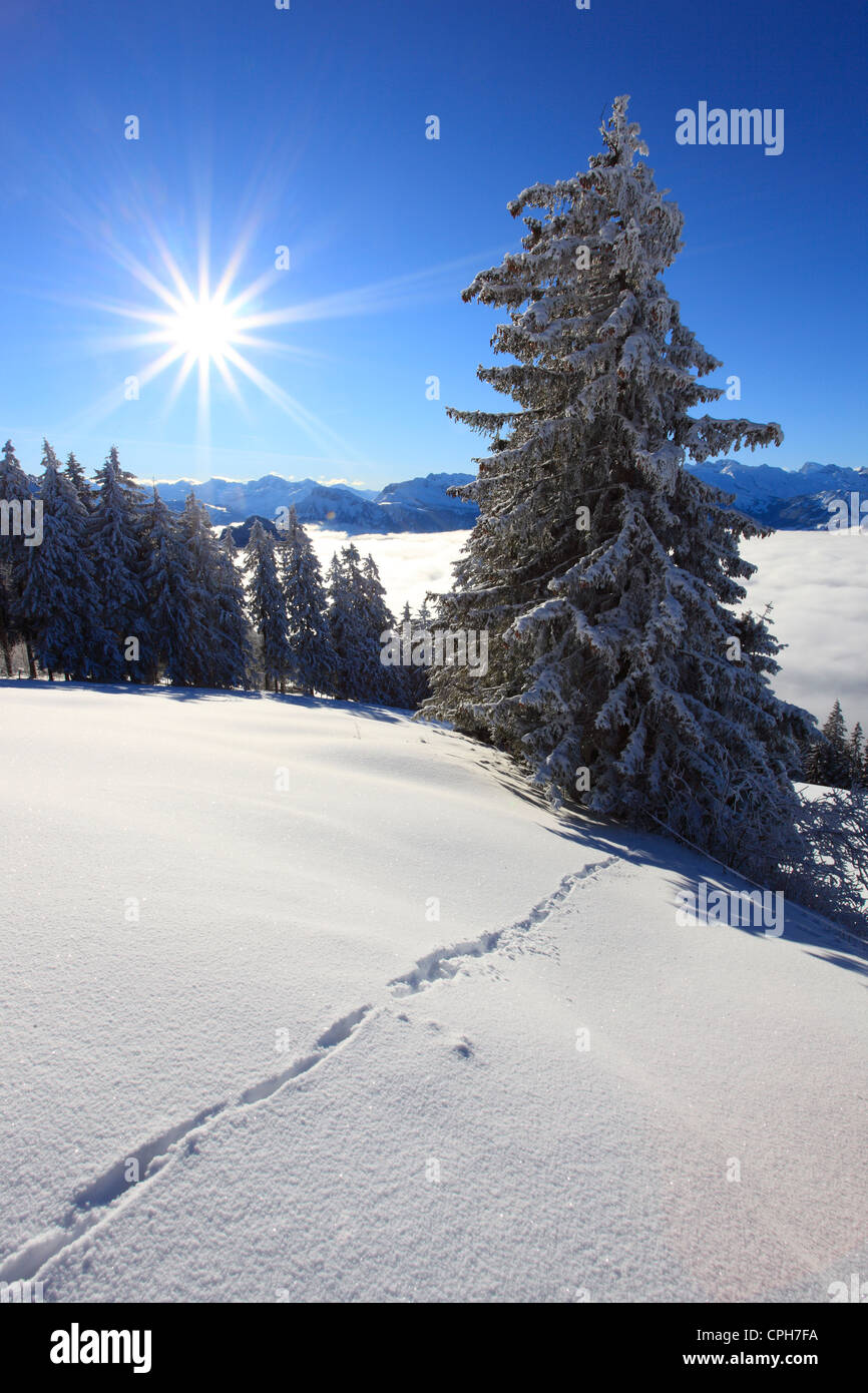 Alp, Alps, view, mountain, mountains, mountain, mountain panorama ...