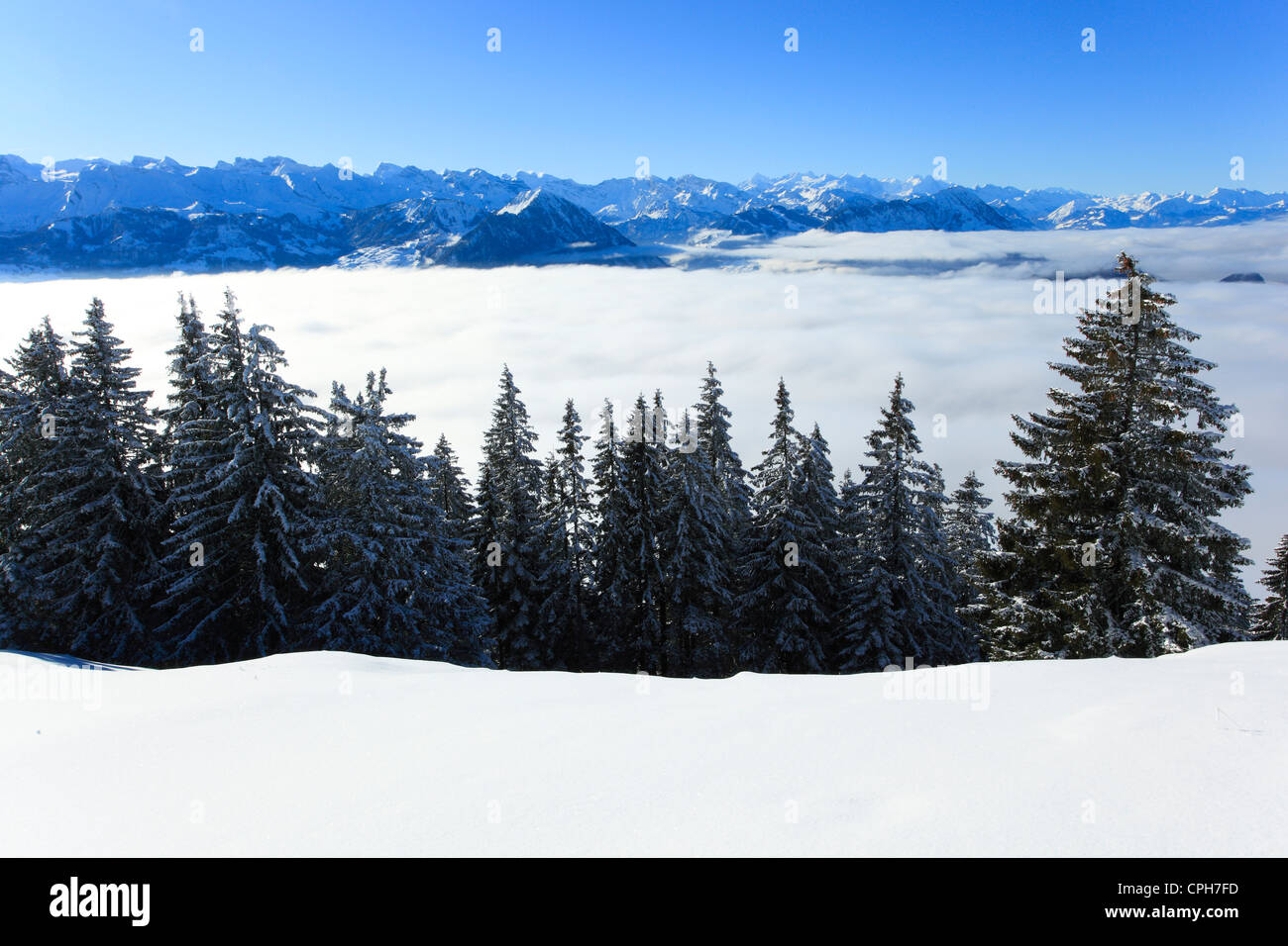 Alp, Alps, view, mountain, mountains, mountain, mountain panorama ...