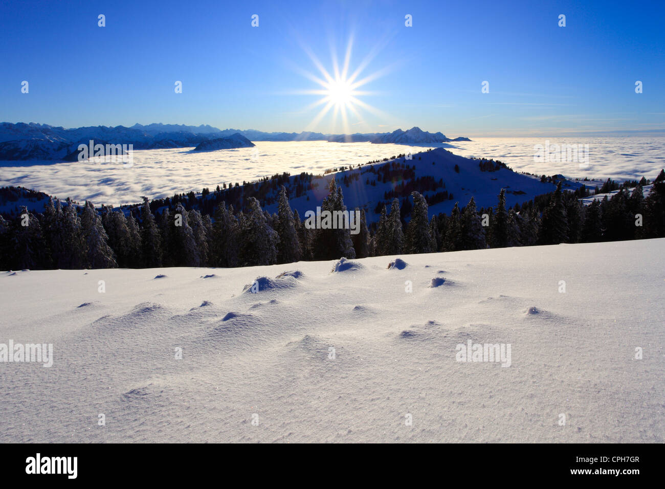 Evening, evening light, Alp, Alps, view, mountain, mountains, mountain ...