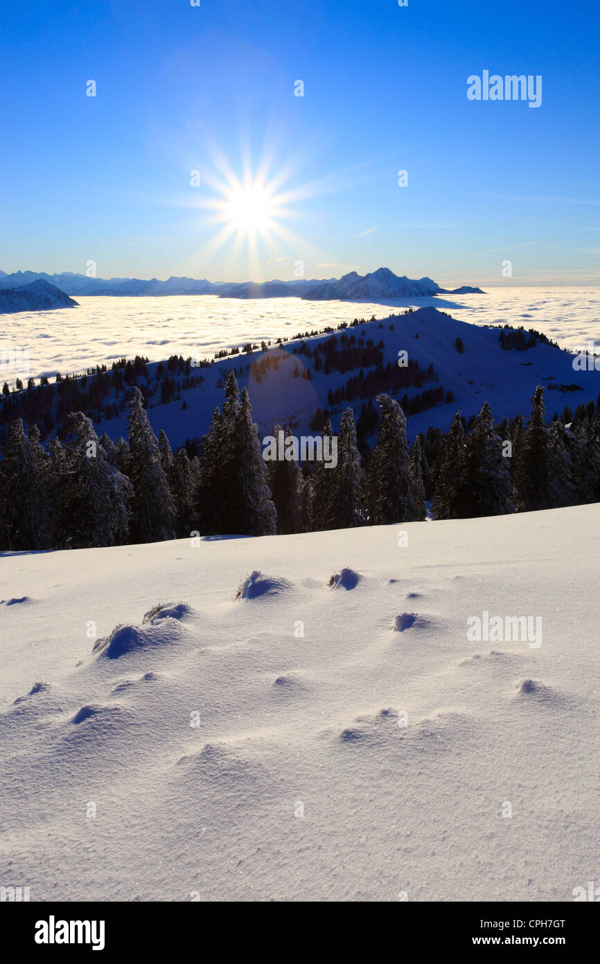 Evening, evening light, Alp, Alps, view, mountain, mountains, mountain ...
