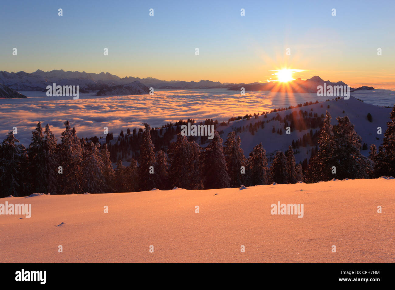 Evening, evening light, Alp, Alps, afterglow, alpenglow, view, mountain ...