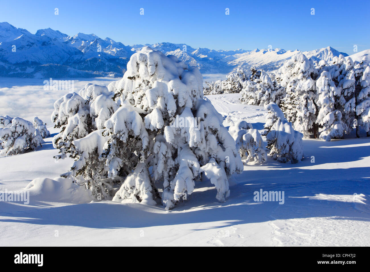 Alps, Alpine panorama, view, tree, mountain, mountains, mountain ...