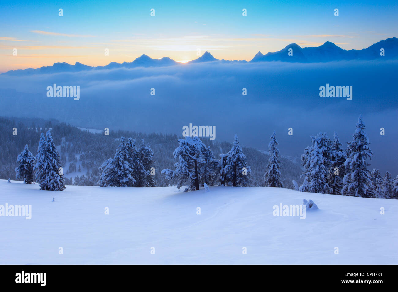 Alps, Alpine panorama, rising, stairs, view, tree, mountain, mountains ...
