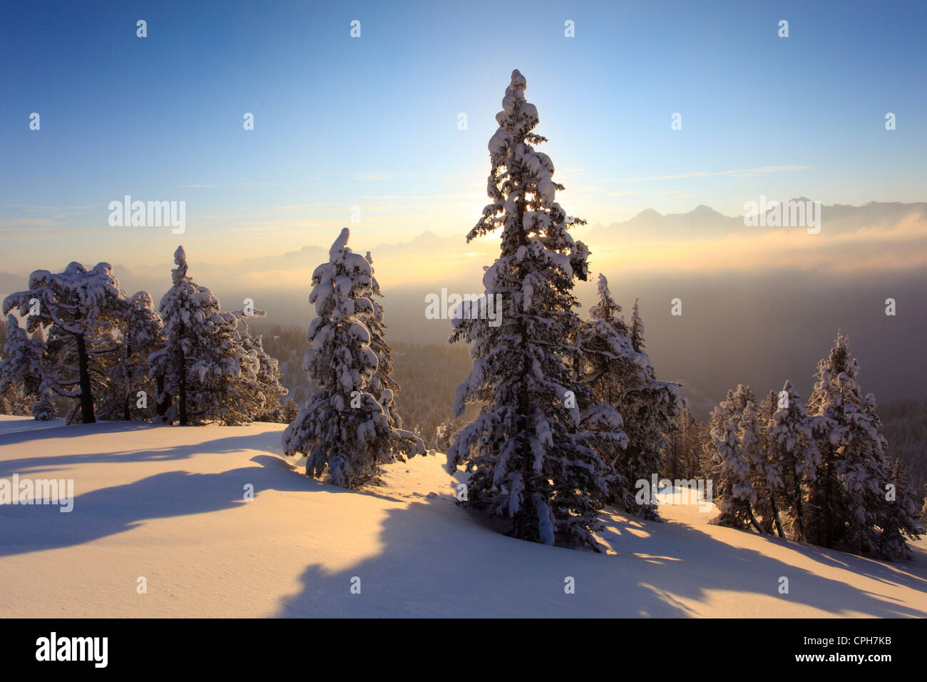 Alps, Alpine panorama, rising, stairs, view, tree, mountain, mountains ...