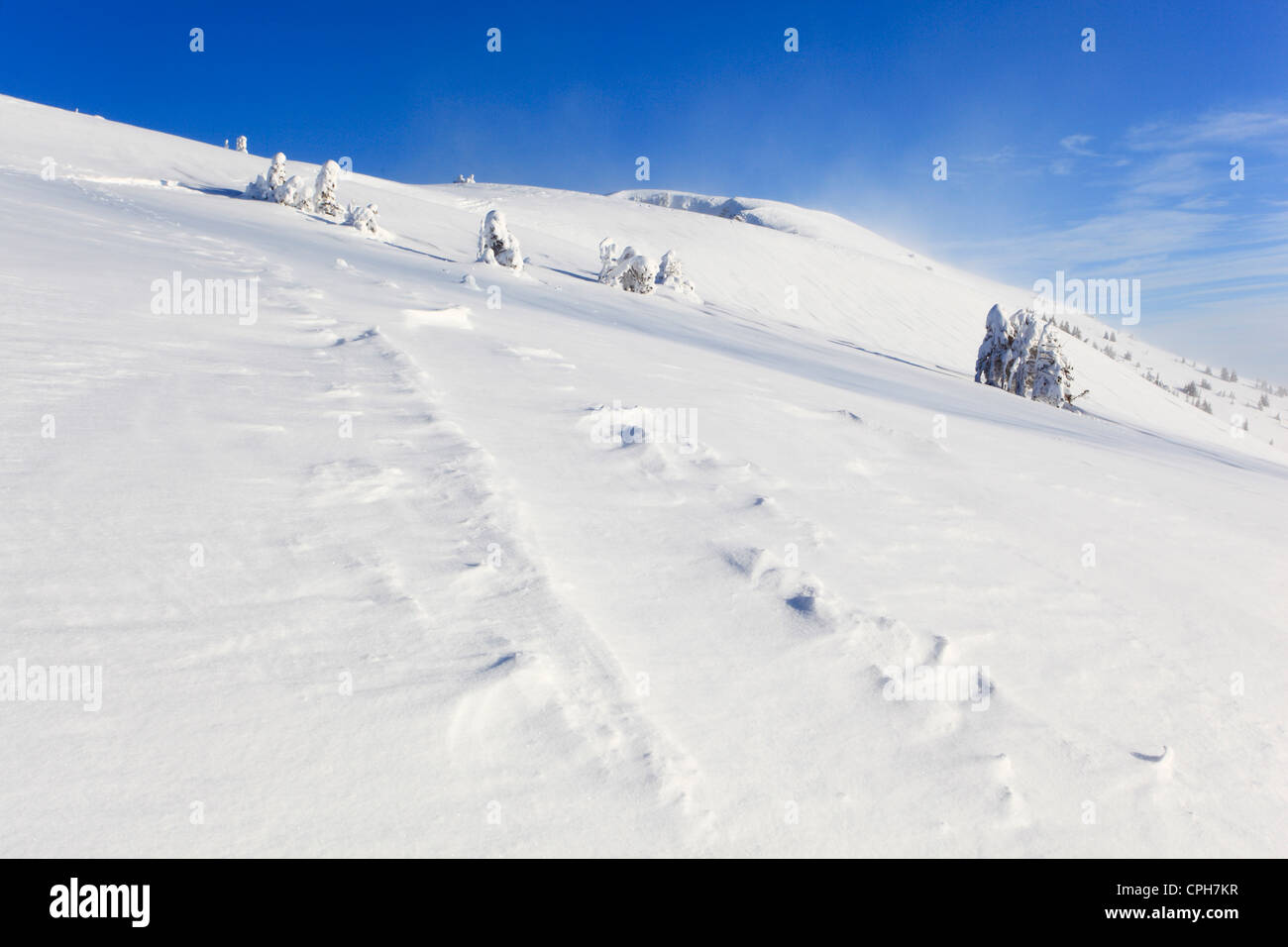 Alps, Alpine panorama, view, tree, mountain, mountains, mountain ...