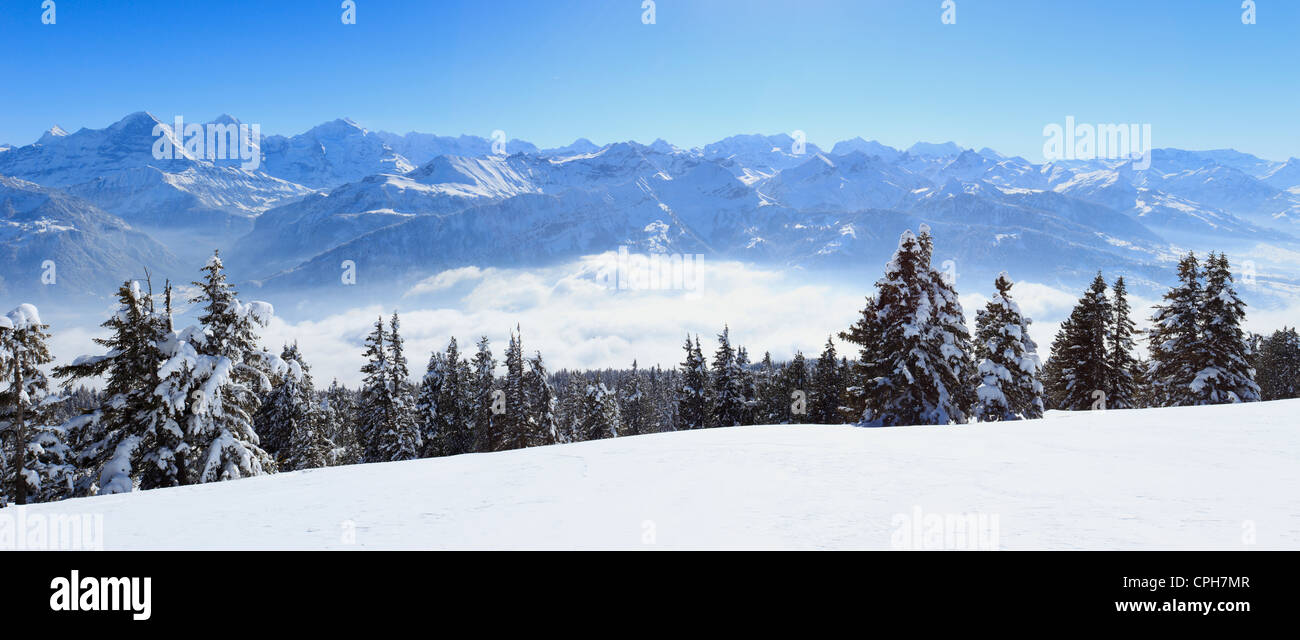 Alps, Alpine panorama, view, tree, mountain, mountains, mountain ...
