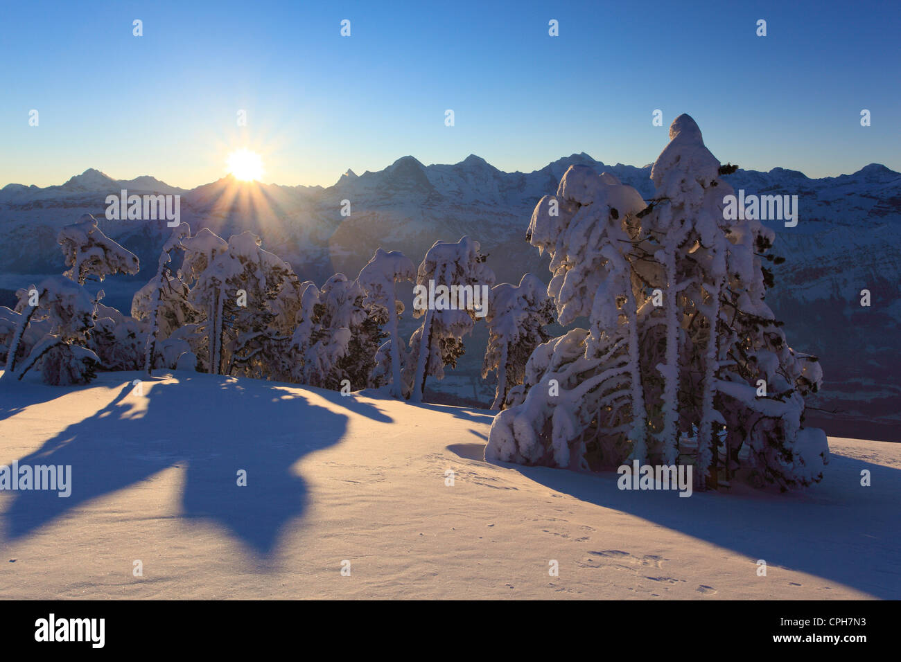 Alps, Alpine panorama, rising, stairs, view, tree, mountain, mountains ...