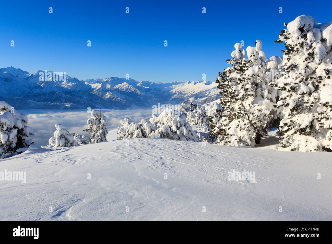Alps, Alpine panorama, view, tree, mountain, mountains, mountain ...