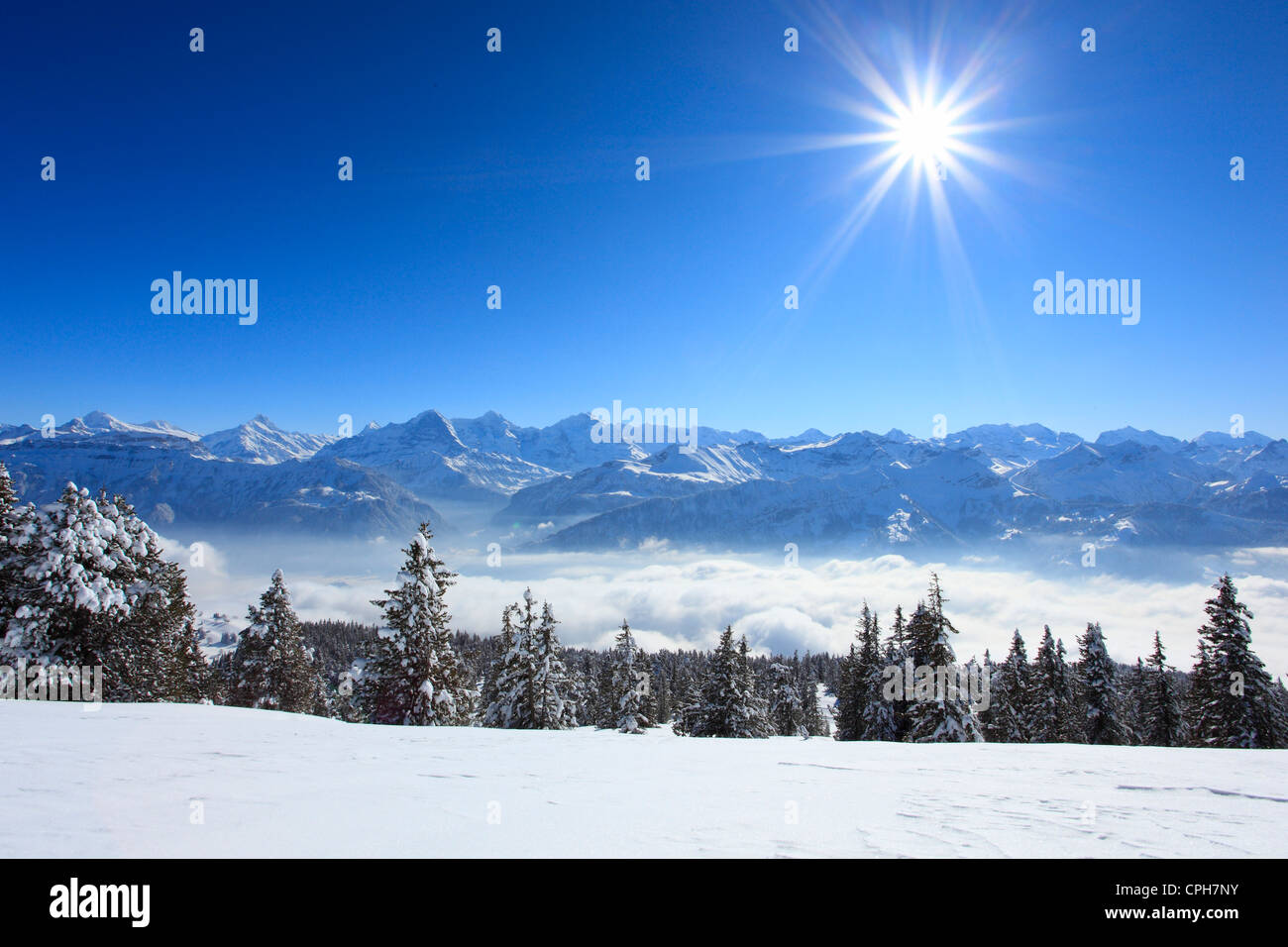 Alps, Alpine panorama, view, tree, mountain, mountains, mountain ...