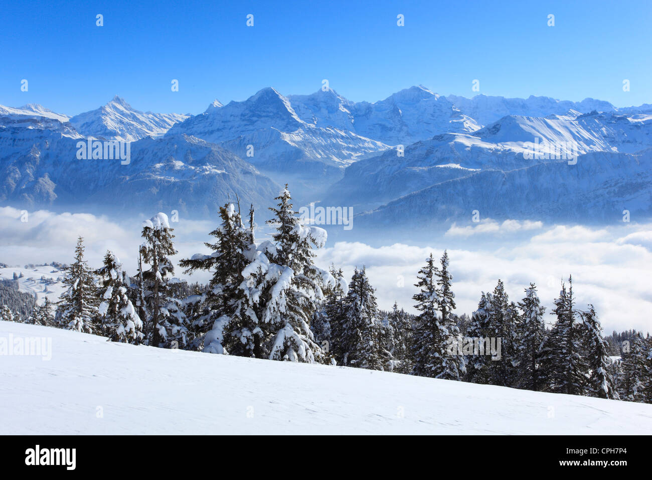 Alps, Alpine panorama, view, tree, mountain, mountains, mountain ...