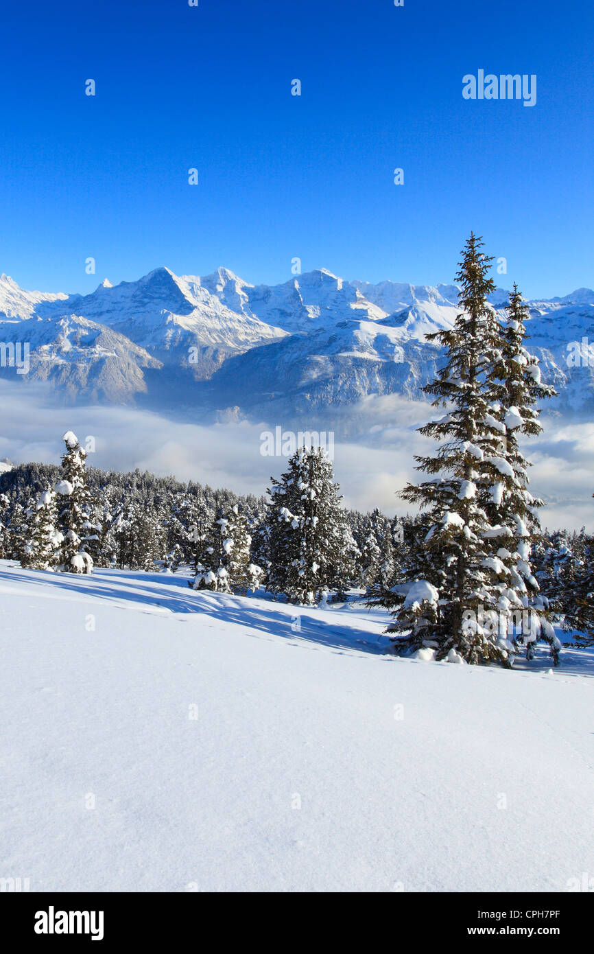 Alps, Alpine panorama, view, tree, mountain, mountains, mountain ...
