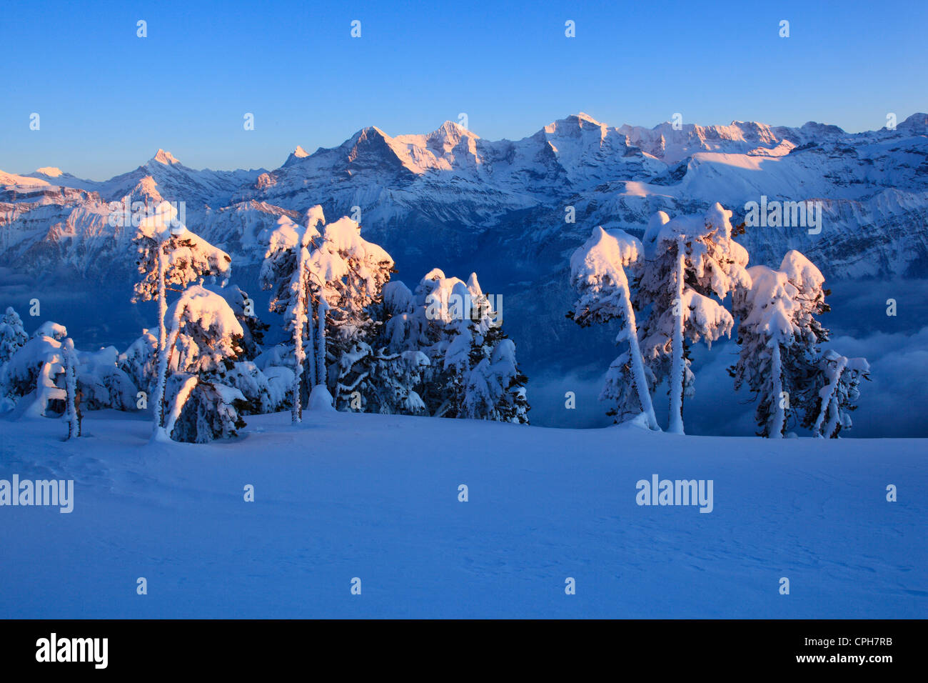 Evening, evening light, Alp, Alps, afterglow, alpenglow, Alpine ...