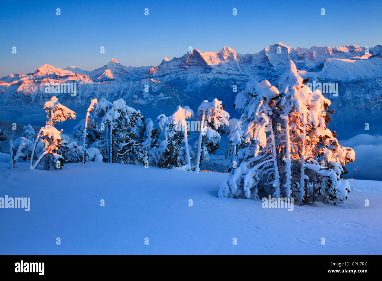 Evening, evening light, Alp, Alps, afterglow, alpenglow, Alpine ...