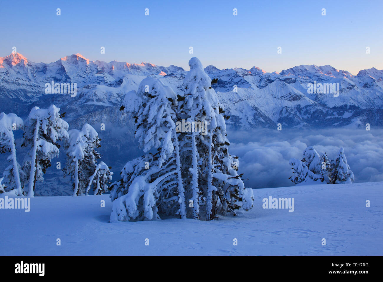 Evening, evening light, Alp, Alps, afterglow, alpenglow, Alpine ...