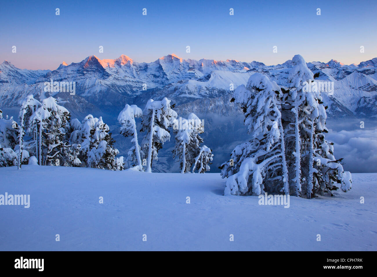 Evening, evening light, Alp, Alps, afterglow, alpenglow, Alpine ...