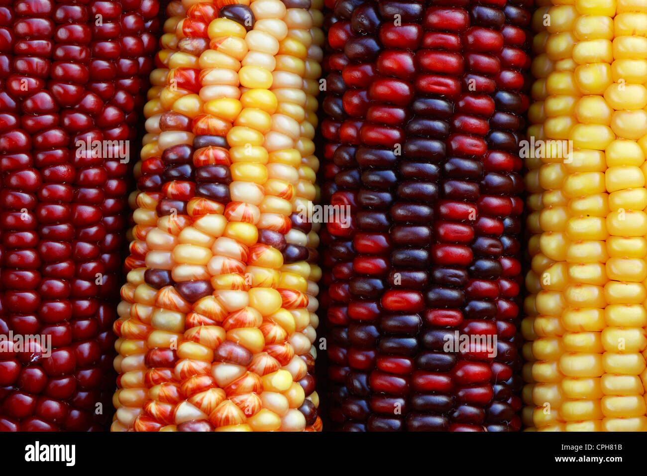 Different colors of corn hi-res stock photography and images - Alamy