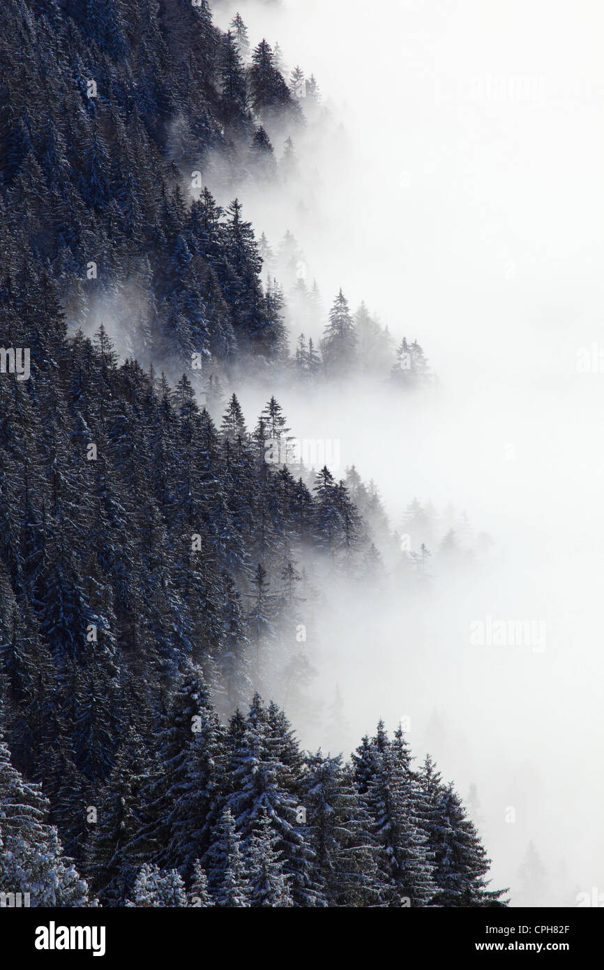 Nebulous border hi-res stock photography and images - Alamy