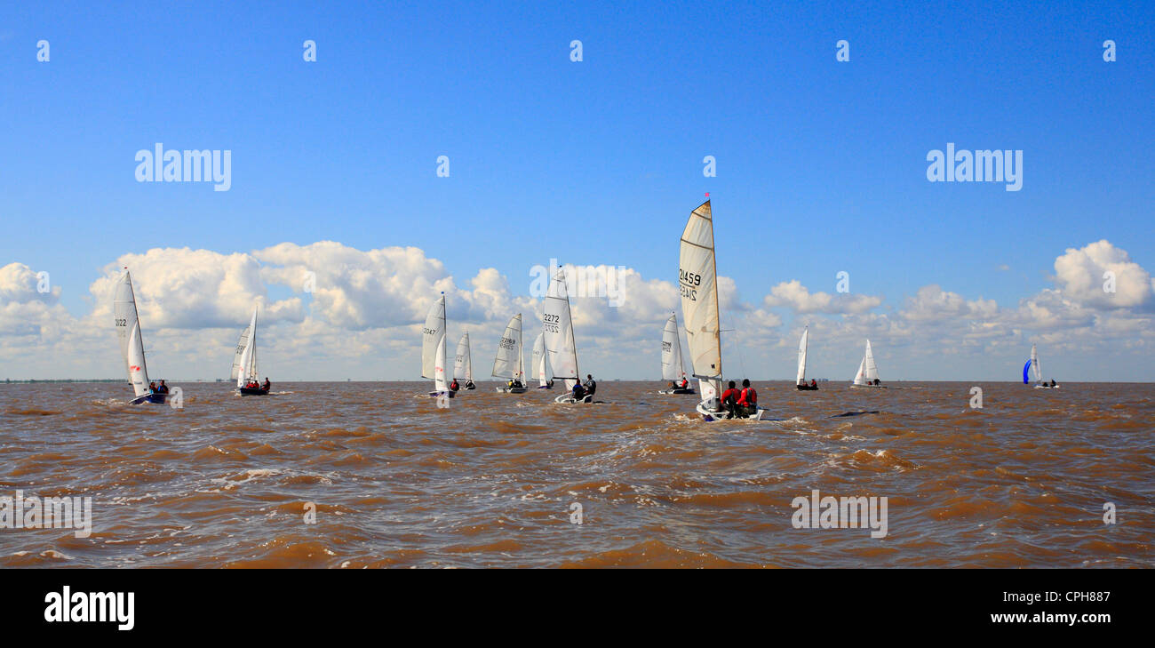 Laser 2000 sailing boats racing at Snettisham in Norfolk Stock Photo ...