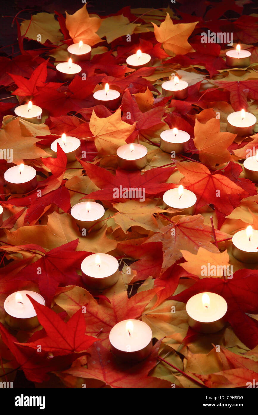 Leaves deco hi-res stock photography and images - Alamy