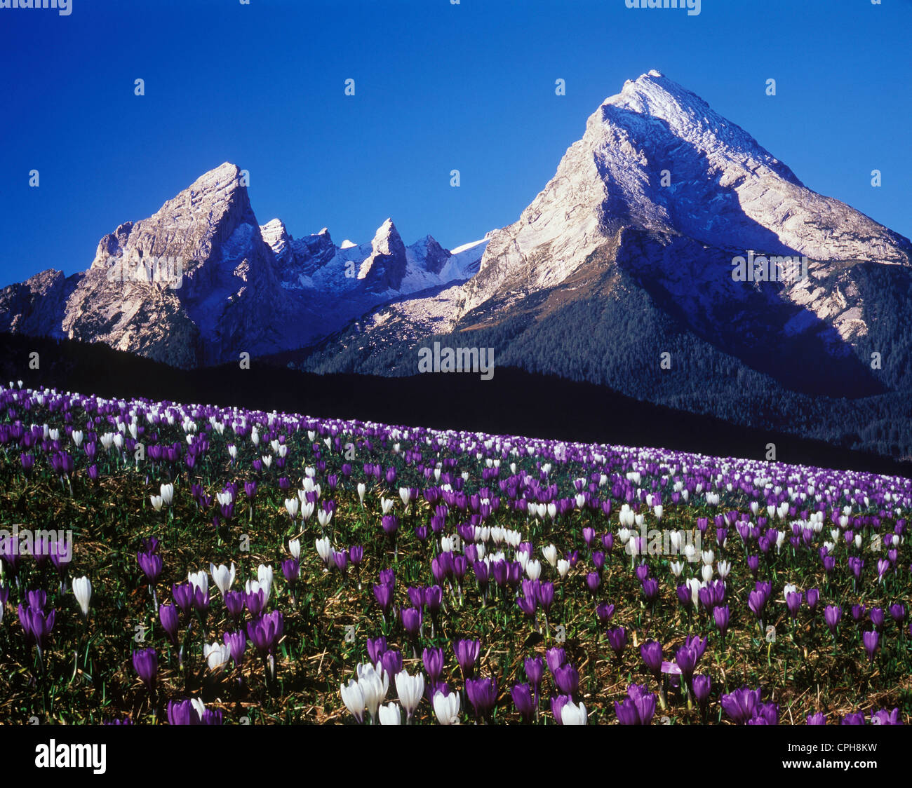 Germany, Europe, Bavaria, Berchtesgaden area, Berchtesgaden, Watzmann ...