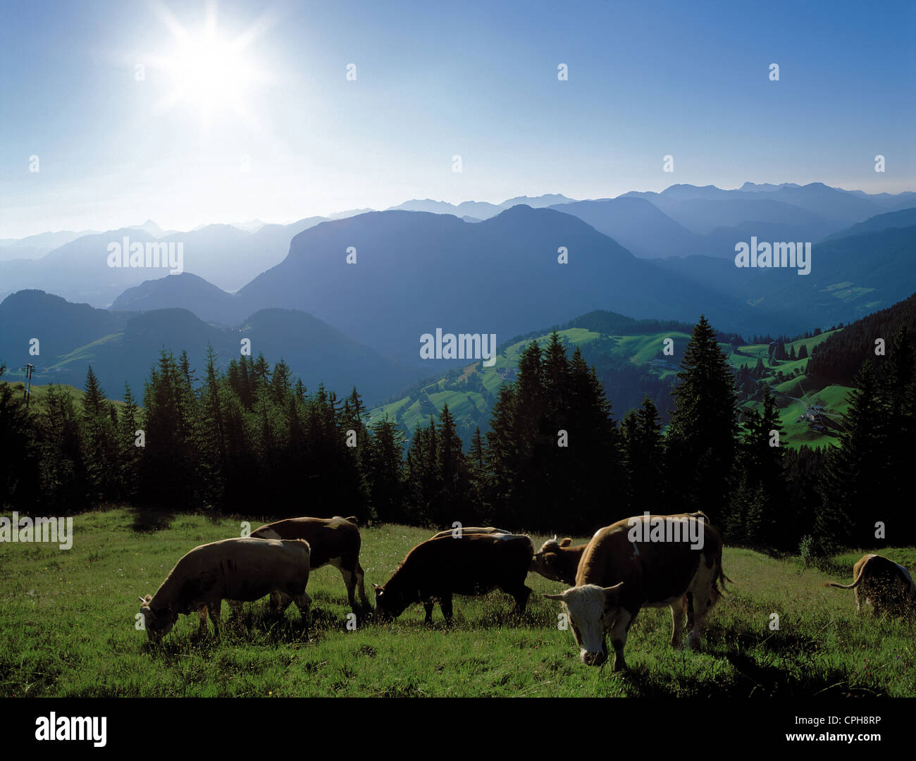 Soll austria summer hi-res stock photography and images - Alamy