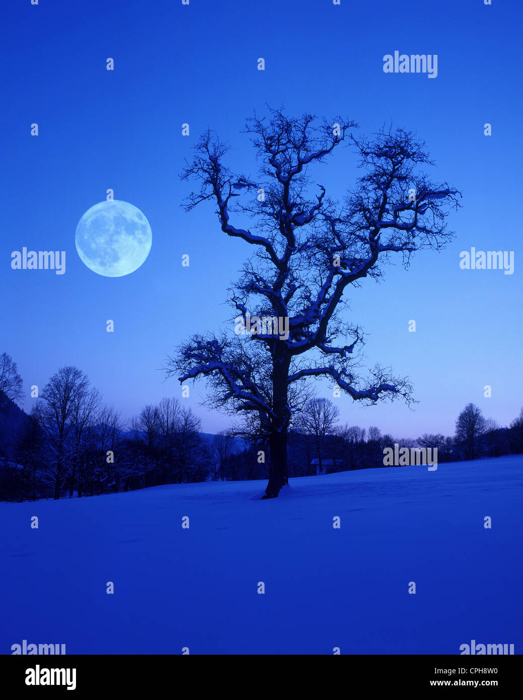 Austria, Europe, Tyrol, lowlands, Söll, mood, scenery, winter, moon ...