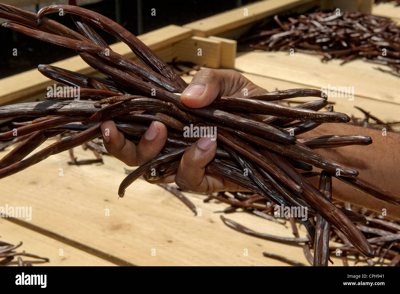 Africa, Indian ocean, La Reunion, vanilla, stalk, food, groceries, food ...