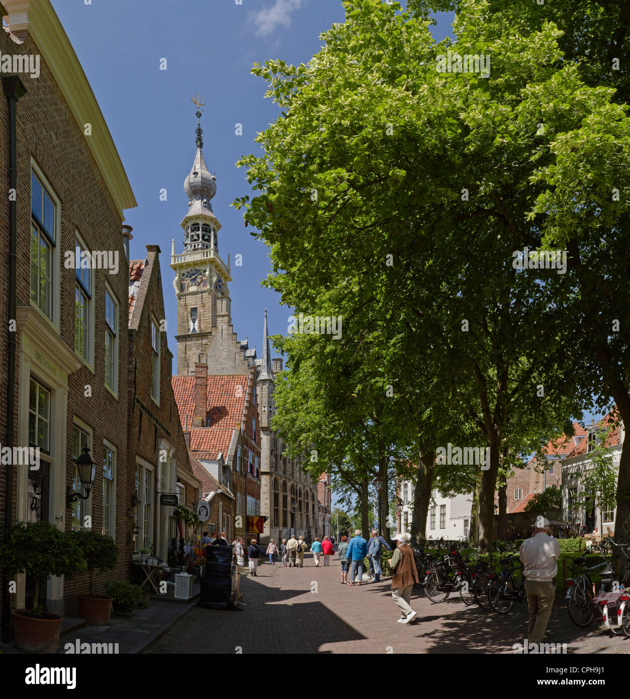 Netherlands, Holland, Europe, Veere, city, village, forest, wood, trees ...