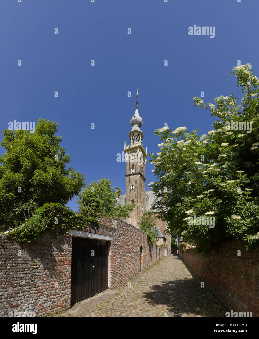 Netherlands, Holland, Europe, Veere, city, village, summer, Town hall ...