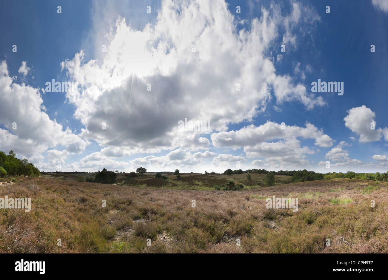 Netherlands, Holland, Europe, Plasmolen, landscape, summer, clouds ...