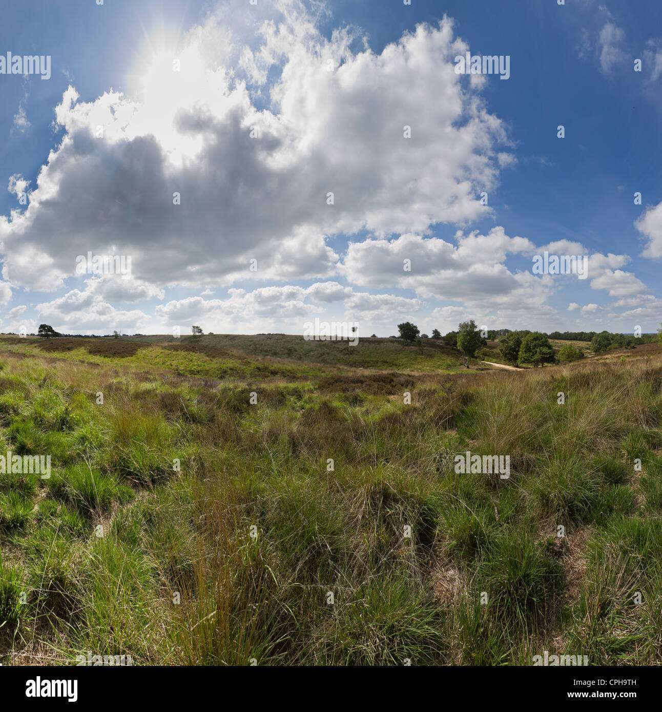 Plasmolen netherlands hi-res stock photography and images - Alamy