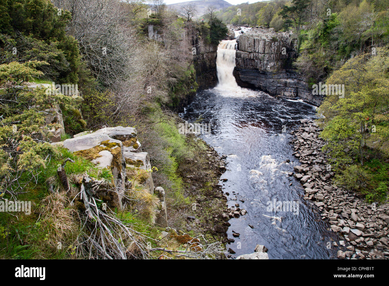 High Force in Upper Teesdale County Durham England Stock Photo - Alamy